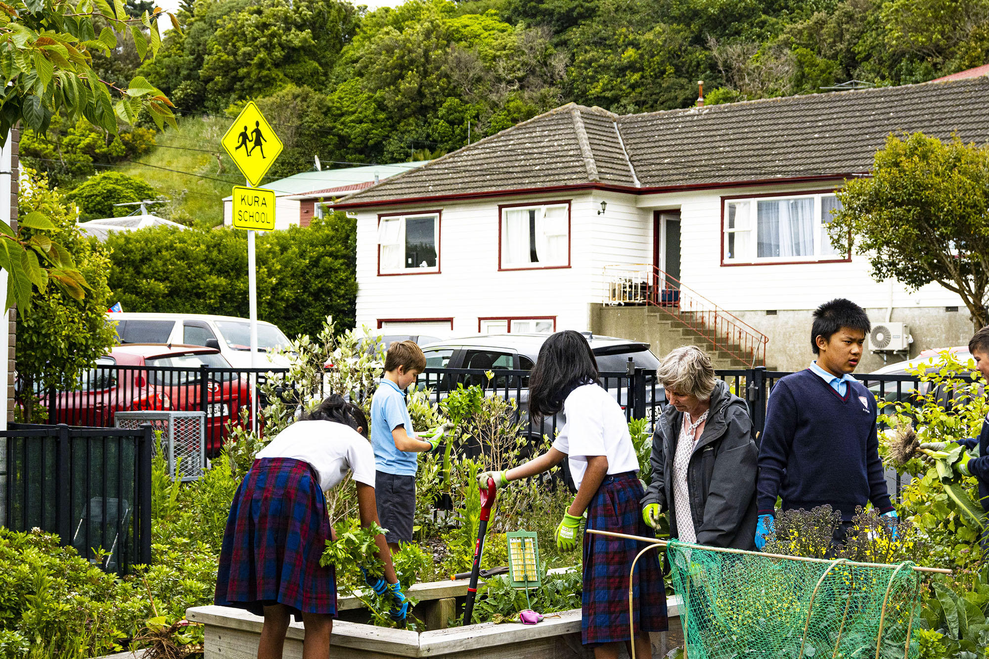 From growing plants to growing communities :: Kāinga Ora – Homes and ...