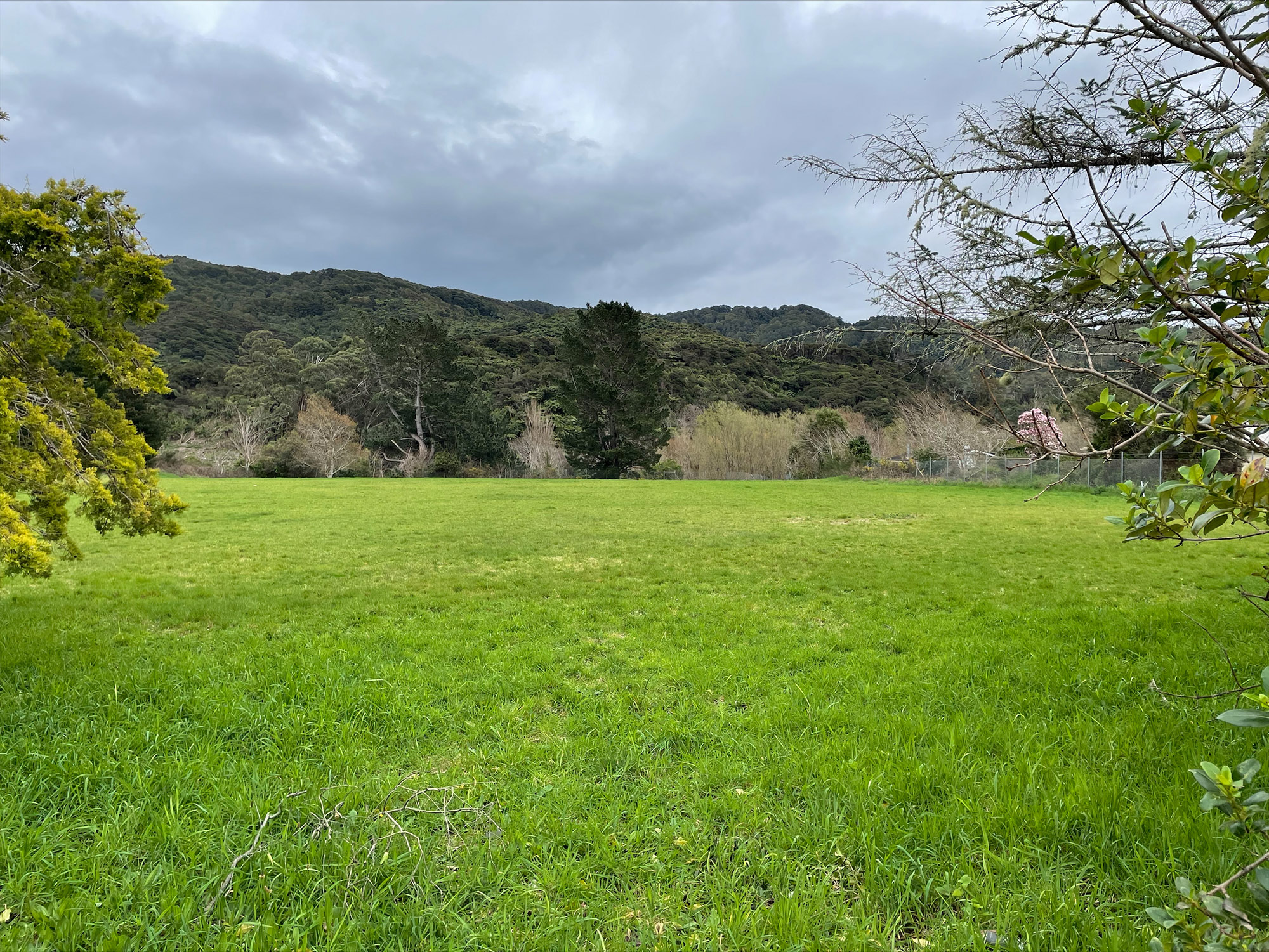 Kainga Ora finalising purchase of Wood Street for permanent public ...
